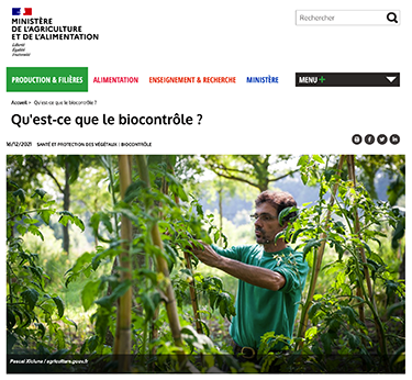 Qu’est-ce que le biocontrôle ? – Qualité Groupe Cercle Vert
